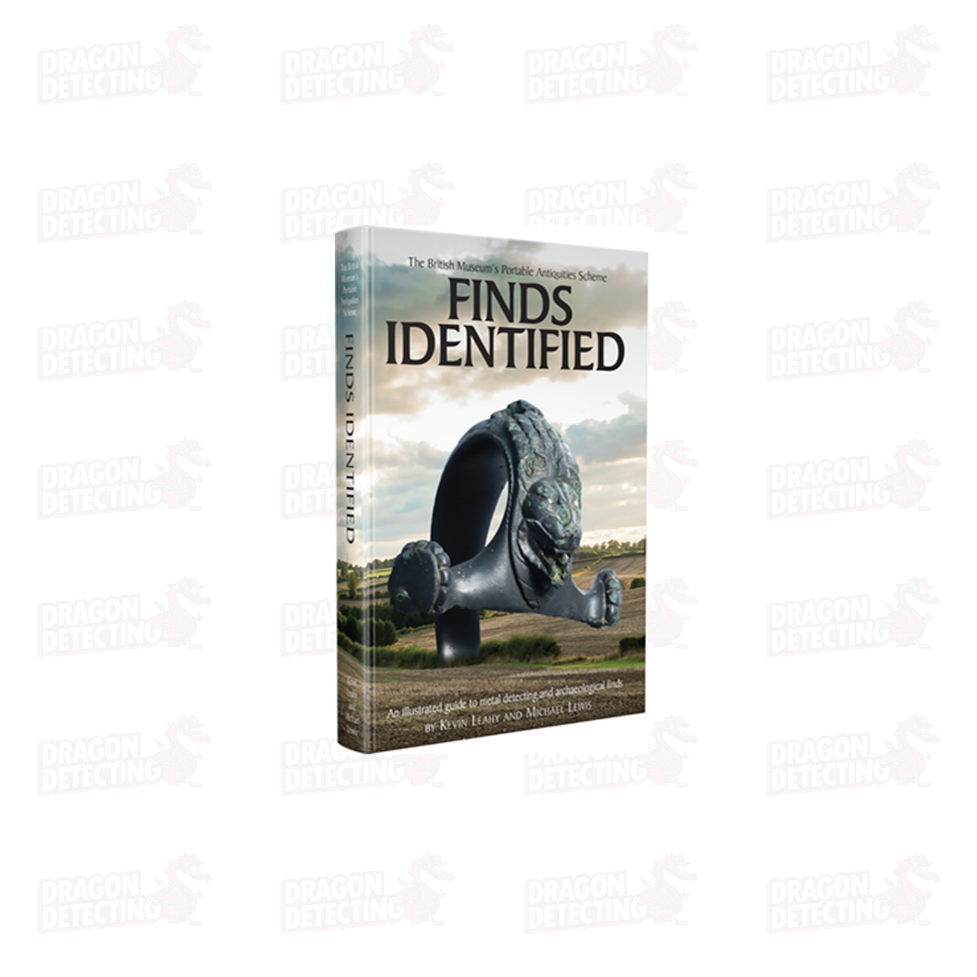 Finds Identified — Dragon Detecting